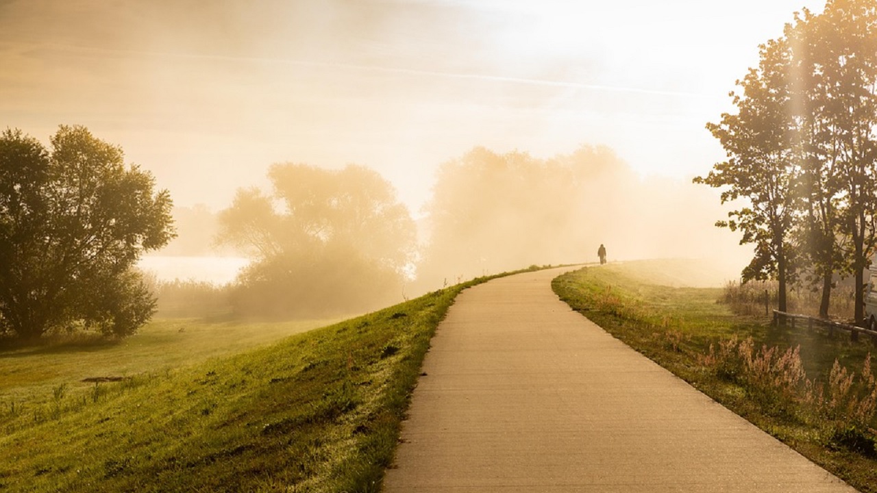 The Path of Life | Bits of Bread