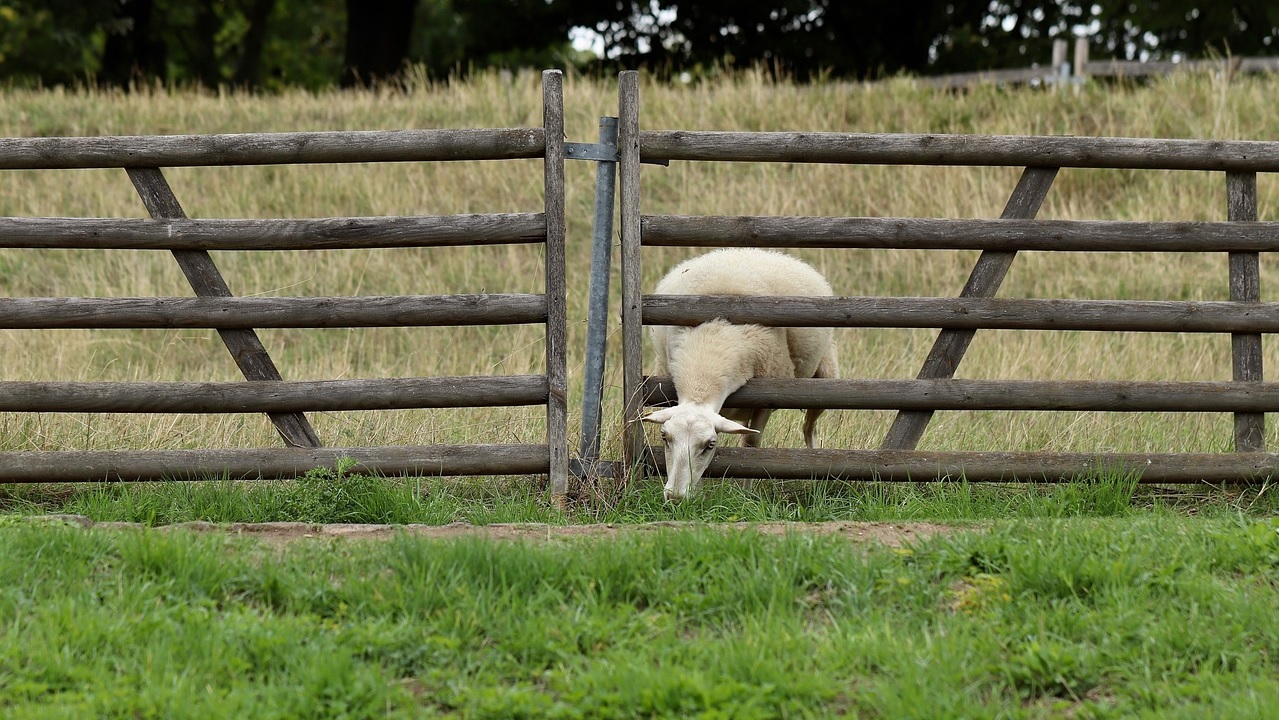 Only Through the Gate | Bits of Bread